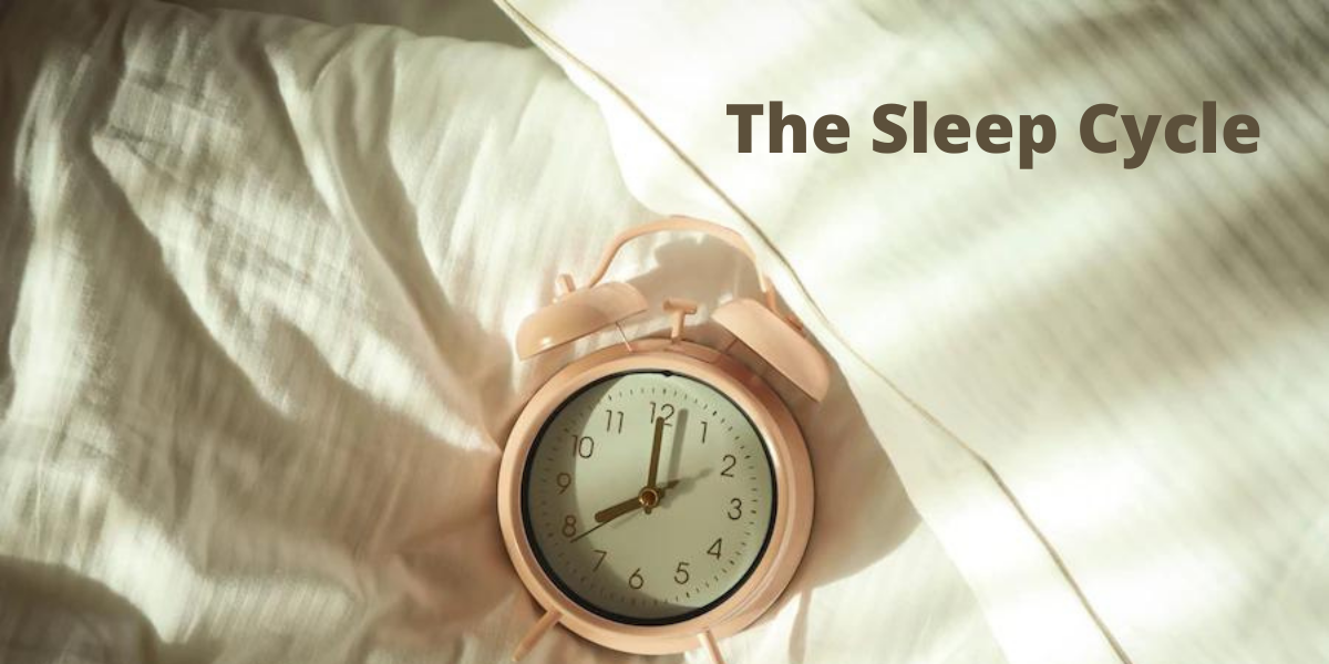 How Sleep Cycle Works – Getha Online Store